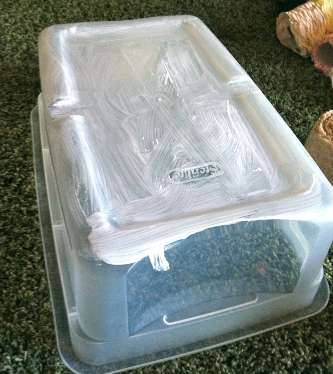 Container Makeover in 3 Easy Steps - Homeschool Homestead