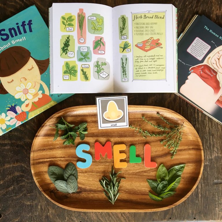 Fun and Engaging Five Senses Unit Your Preschooler Will Love ...