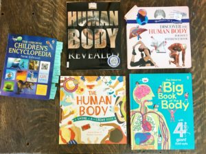 Let's Explore the Human Body! - Homeschool Homestead