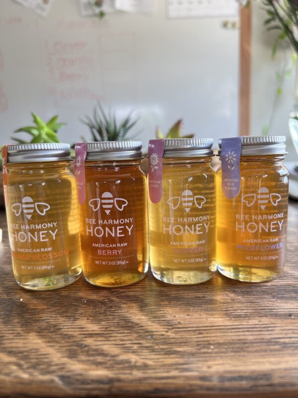 Bee-utiful Art: Learning All About Bees - Homeschool Homestead