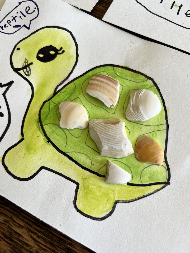 Learning About Reptiles - Seashell Turtle Art - Homeschool Homestead