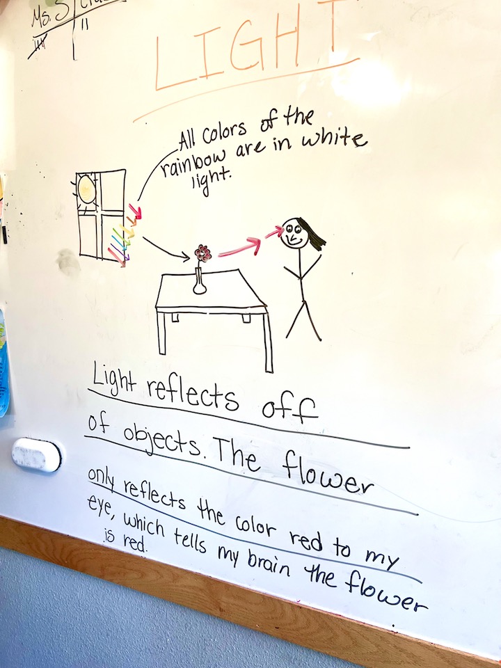 Science Experiments: Learning All About Light - Homeschool Homestead