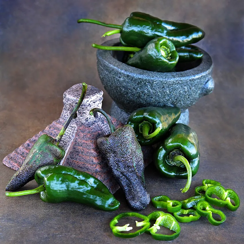 Poblano Pepper Seedling - Homeschool Homestead