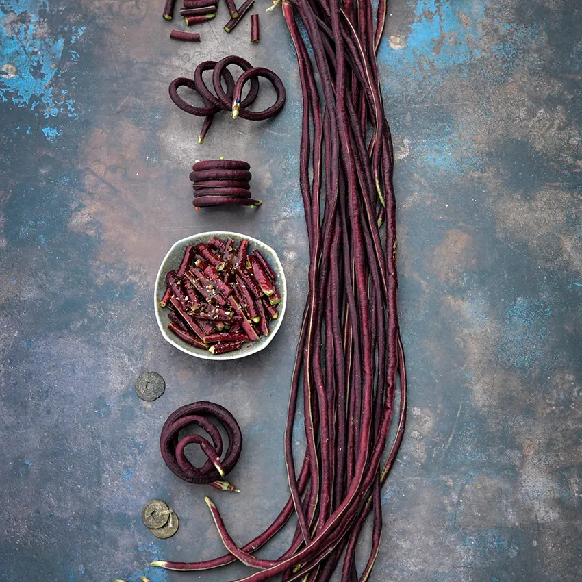 Red Chinese Noodle Bean- 6 pack - Homeschool Homestead