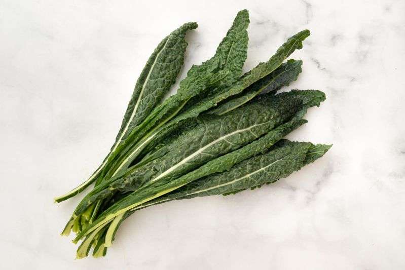 Tuscan Kale Seedling | 1 Gallon Pot - Homeschool Homestead